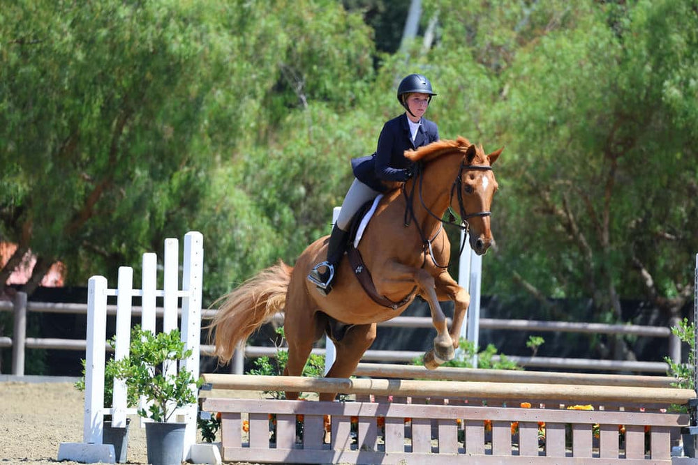 Legacy Riders Equestrian