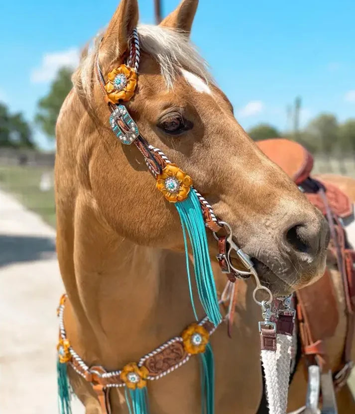 Western Tack Sets – Legacy Riders Equestrian